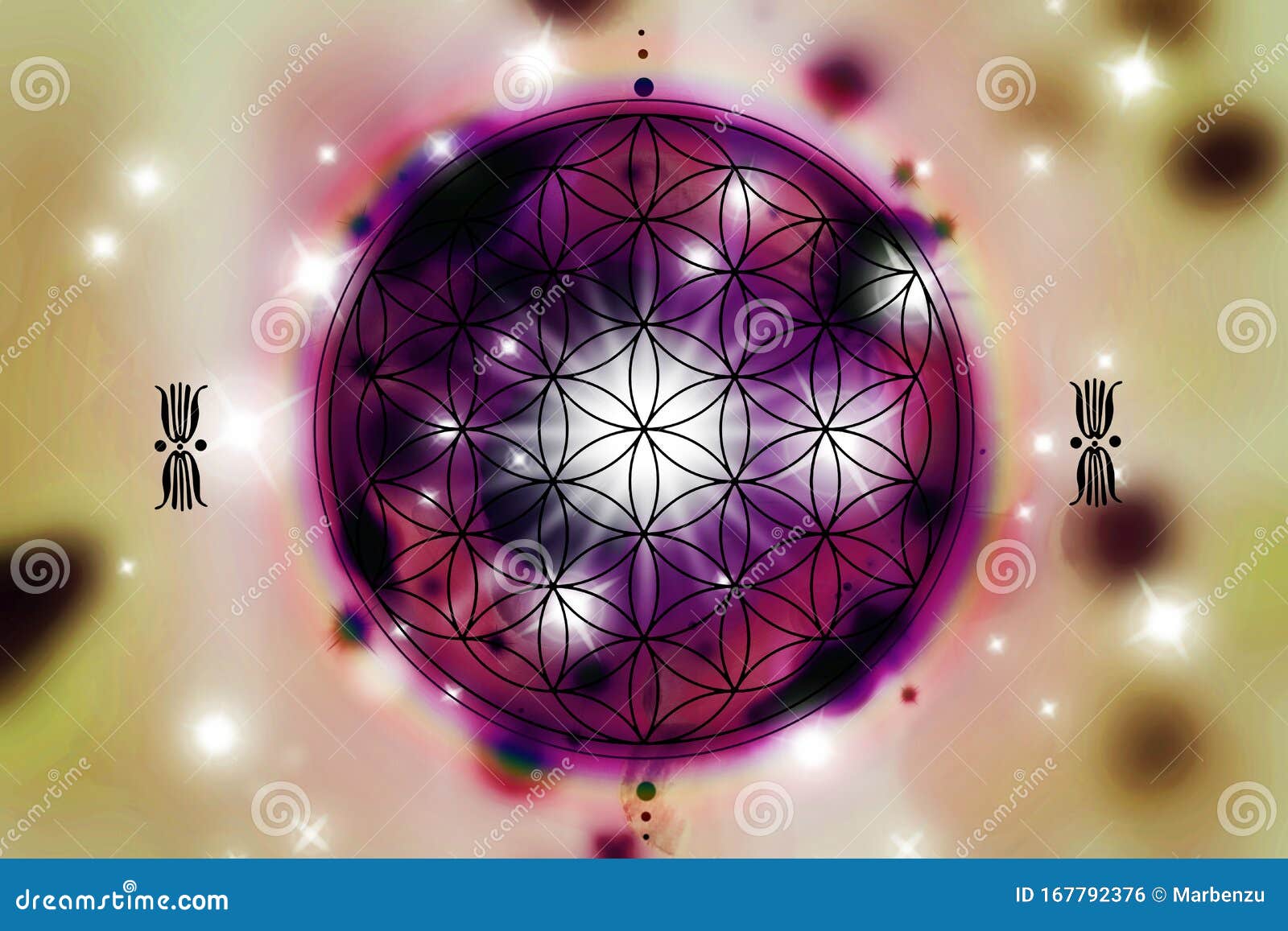 Flower of Life Sacred Geometry Pattern Stock Illustration ...