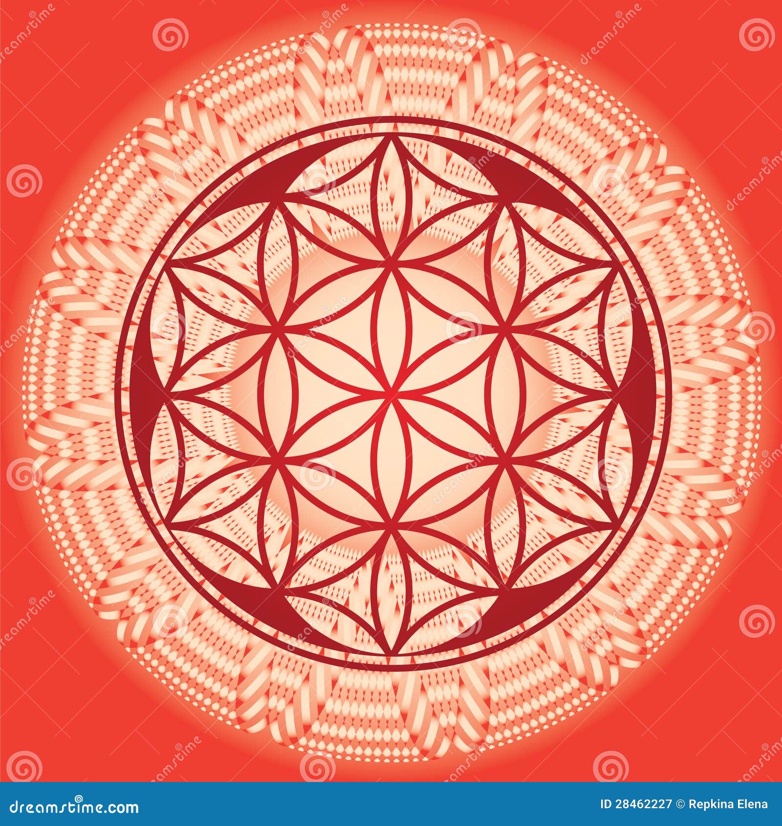 Flower of Life Seed Mandala Stock Vector - Illustration of mysticism ...