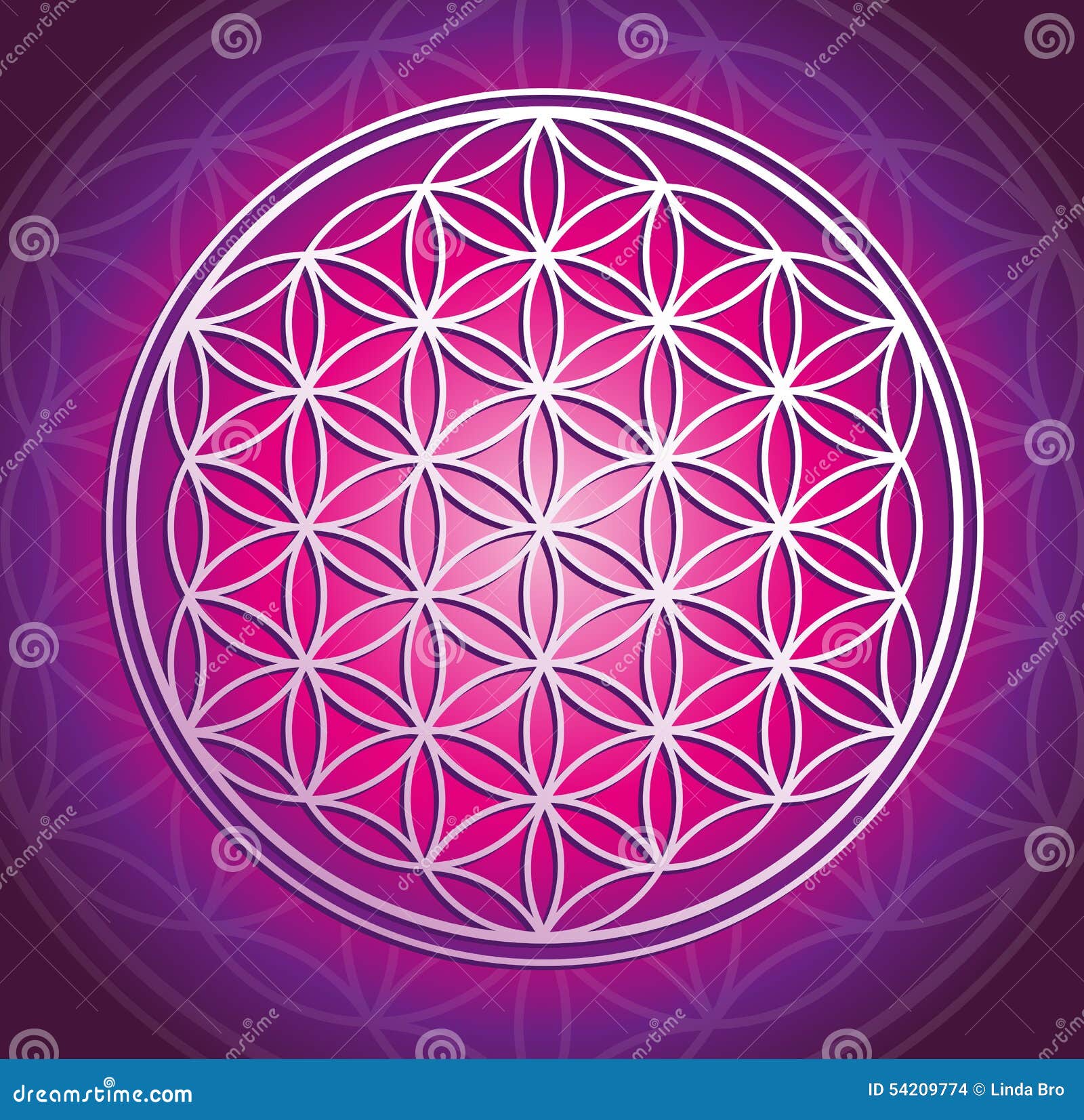 The flower of life stock vector. Illustration of nature - 54209774