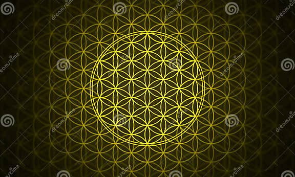 The Flower of Life Symbol Yellow Stock Illustration - Illustration of ...