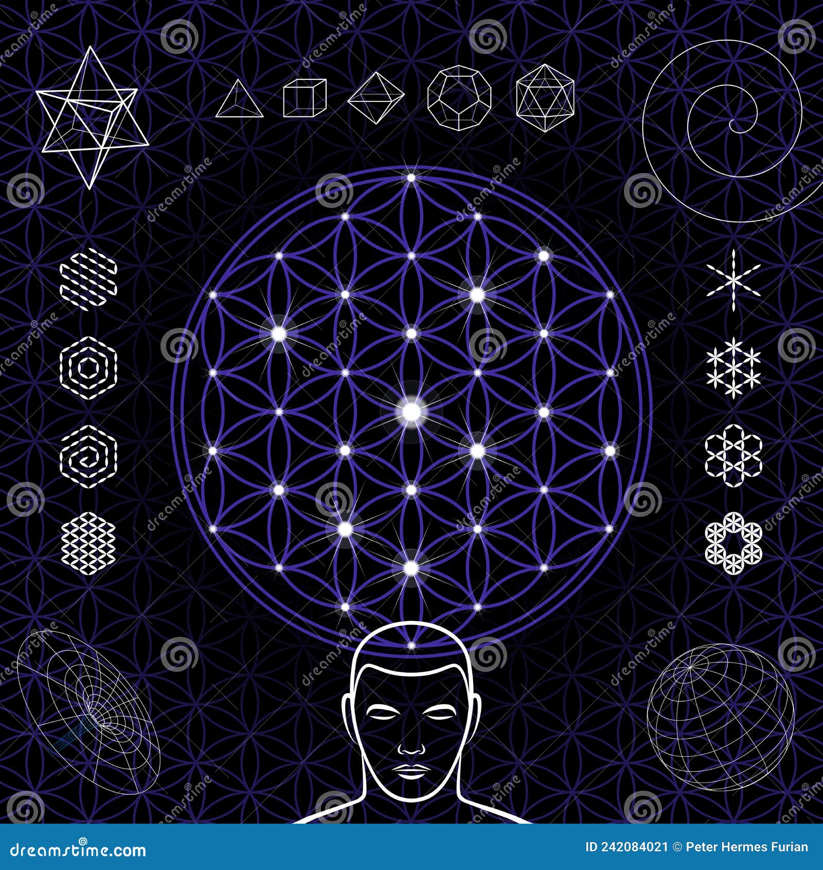 Flower of Life, with Stars and Symbols, Sacred Geometry Stock ...