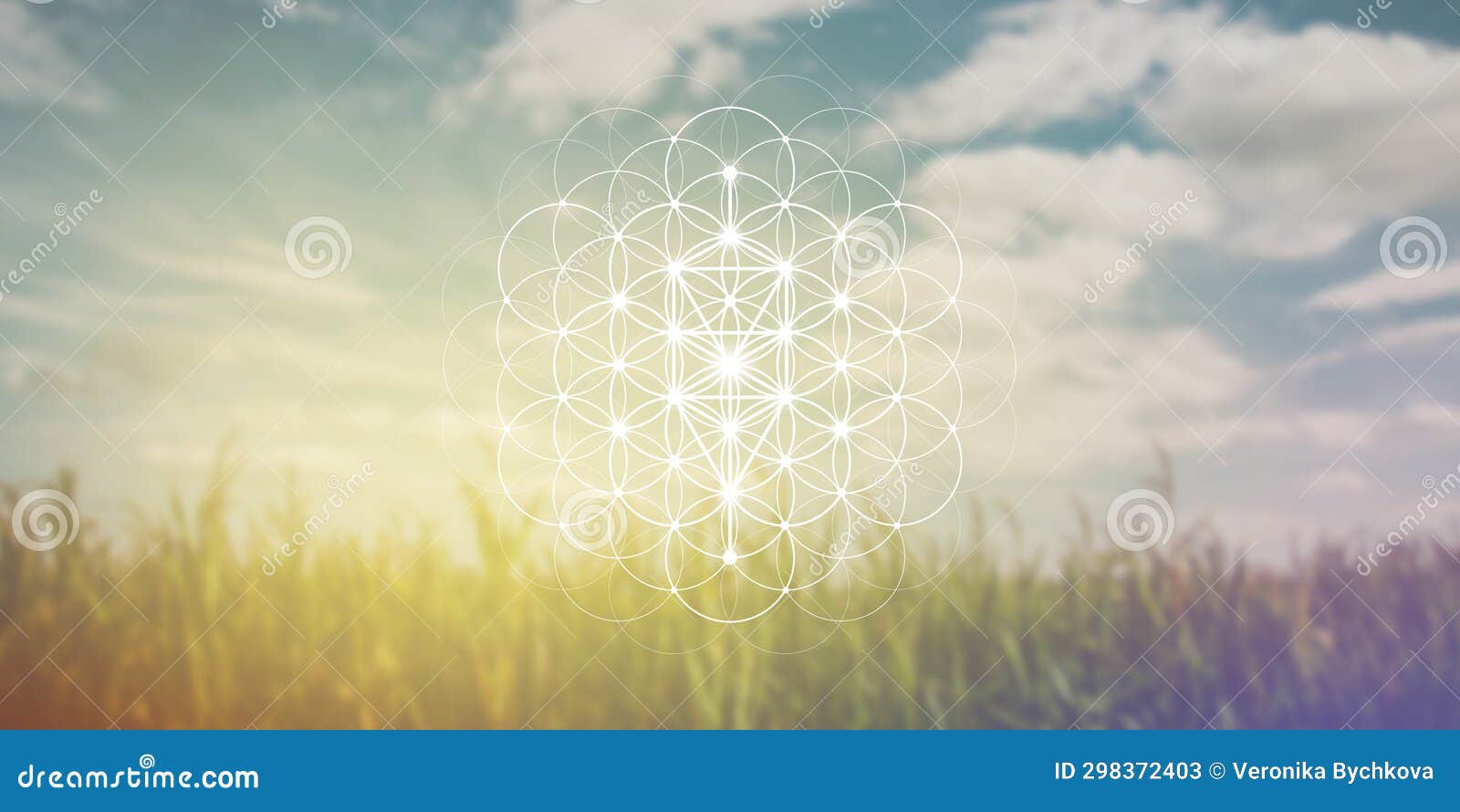 Flower of Life. Tree of Life Stock Vector - Illustration of astrology ...