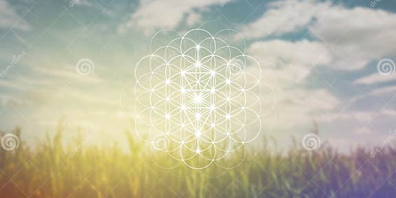 Flower of Life. Tree of Life Stock Vector - Illustration of astrology ...