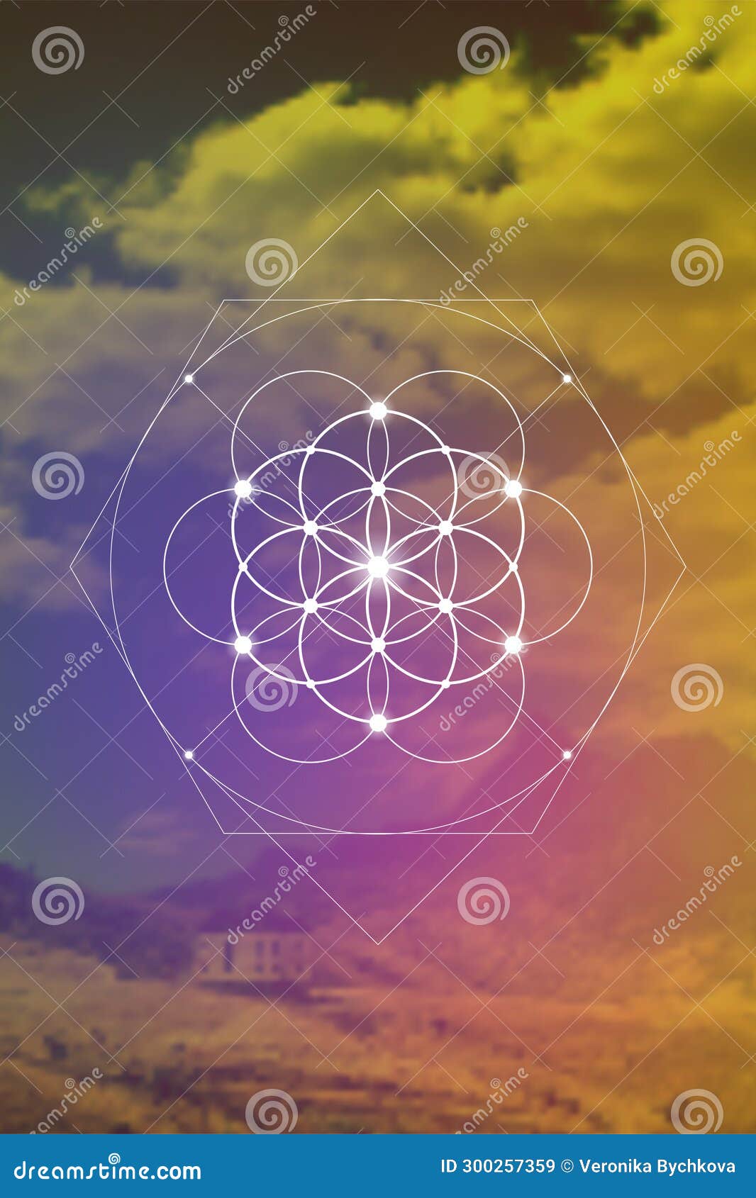 Flower of Life. Tree of Life Stock Vector - Illustration of tree ...