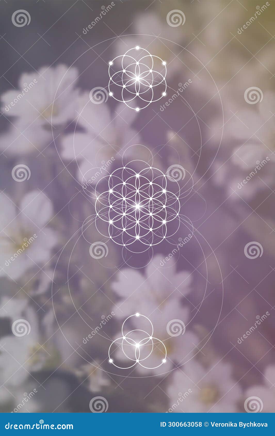 Flower of Life. Tree of Life Stock Vector - Illustration of authentic ...