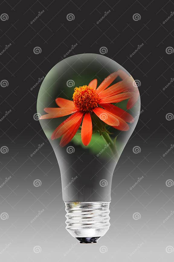 Flower and light bulb stock illustration. Illustration of colours ...