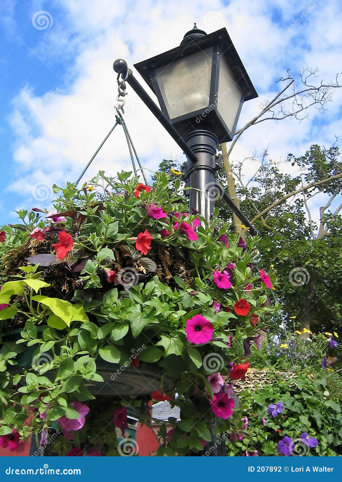 Flower Light Post stock photo. Image of striking, pathway - 207892