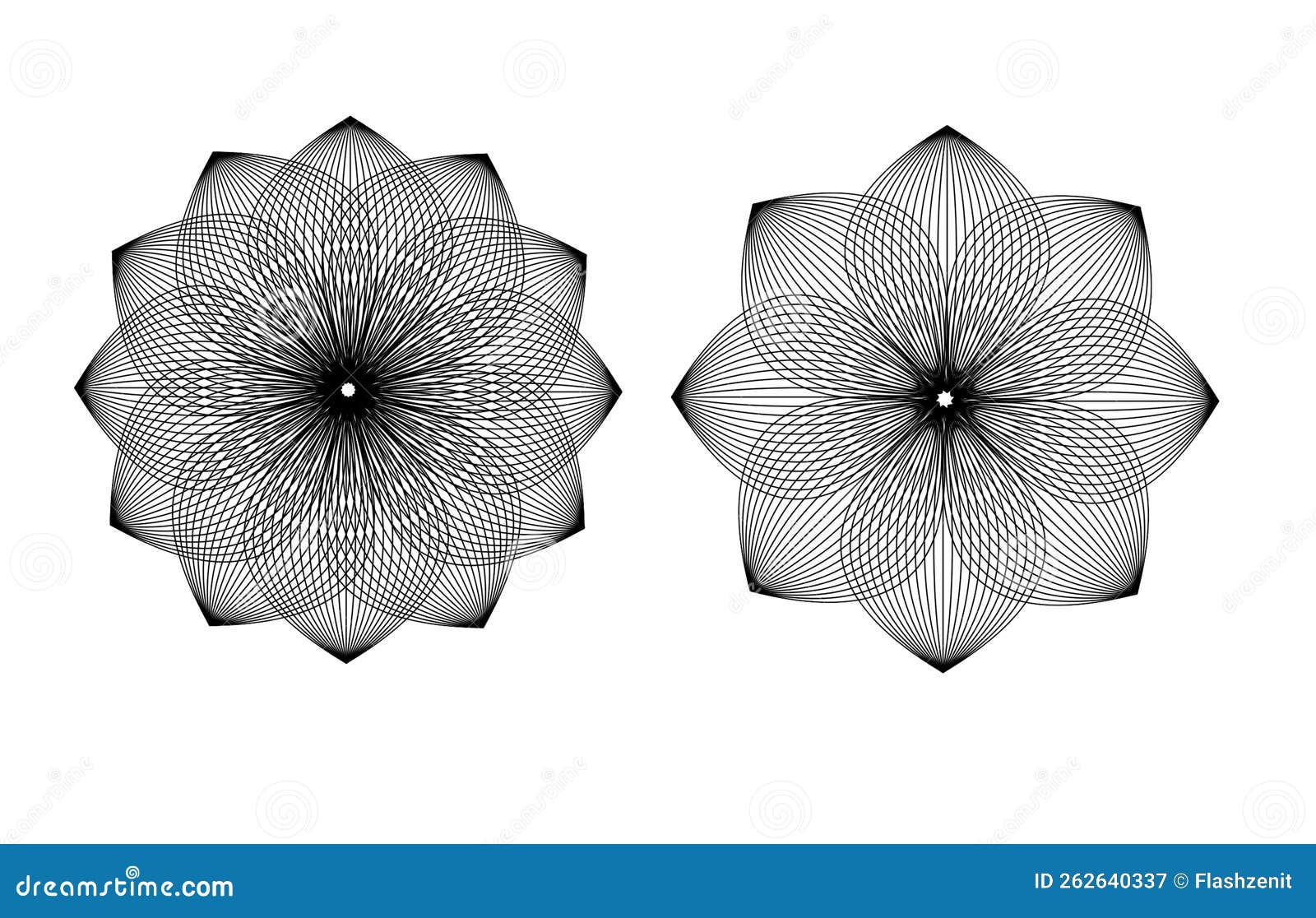 Flower Lines Vector stock illustration. Illustration of white - 262640337