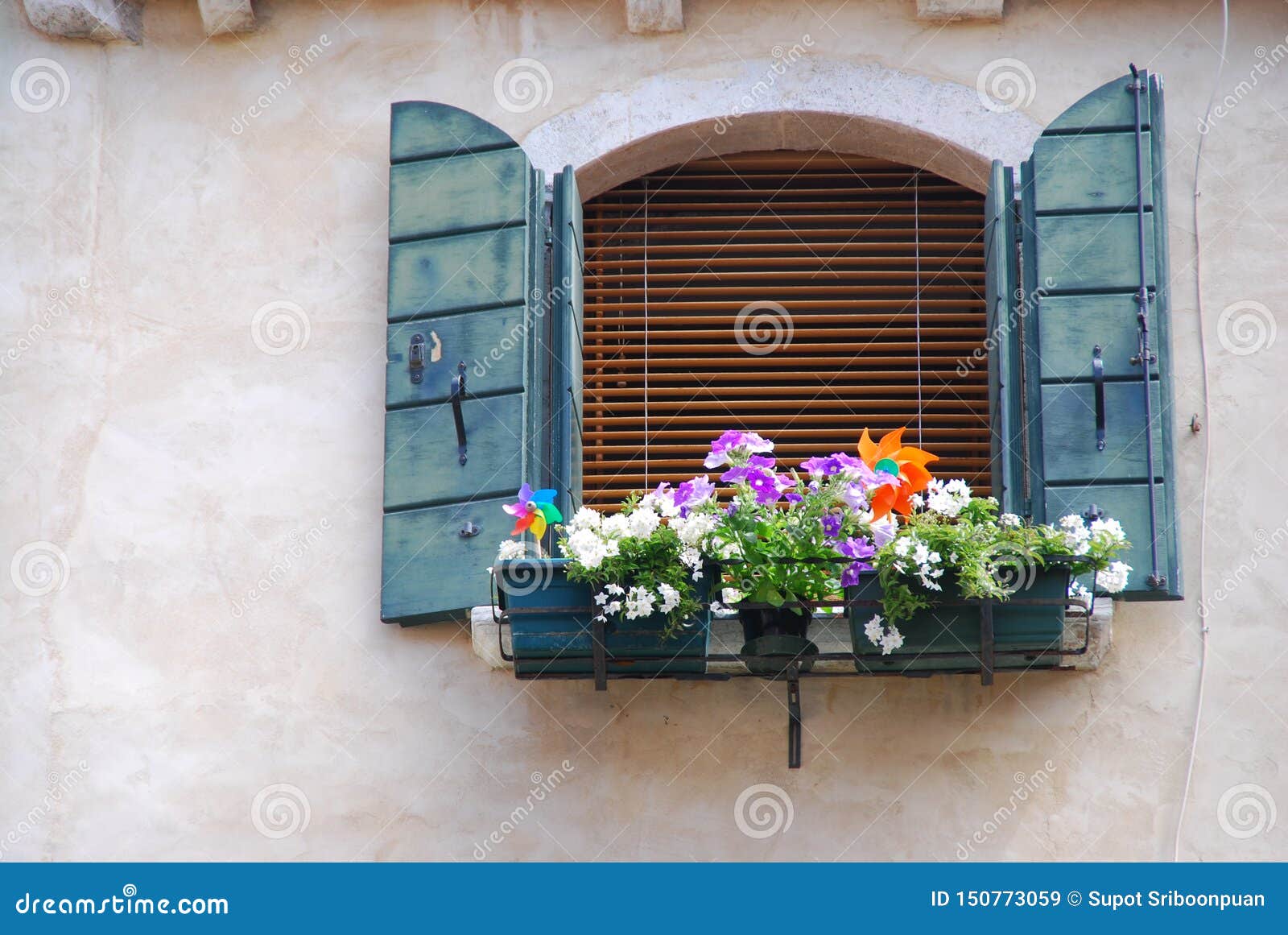 Flower of love in venice stock image. Image of summer - 150773059