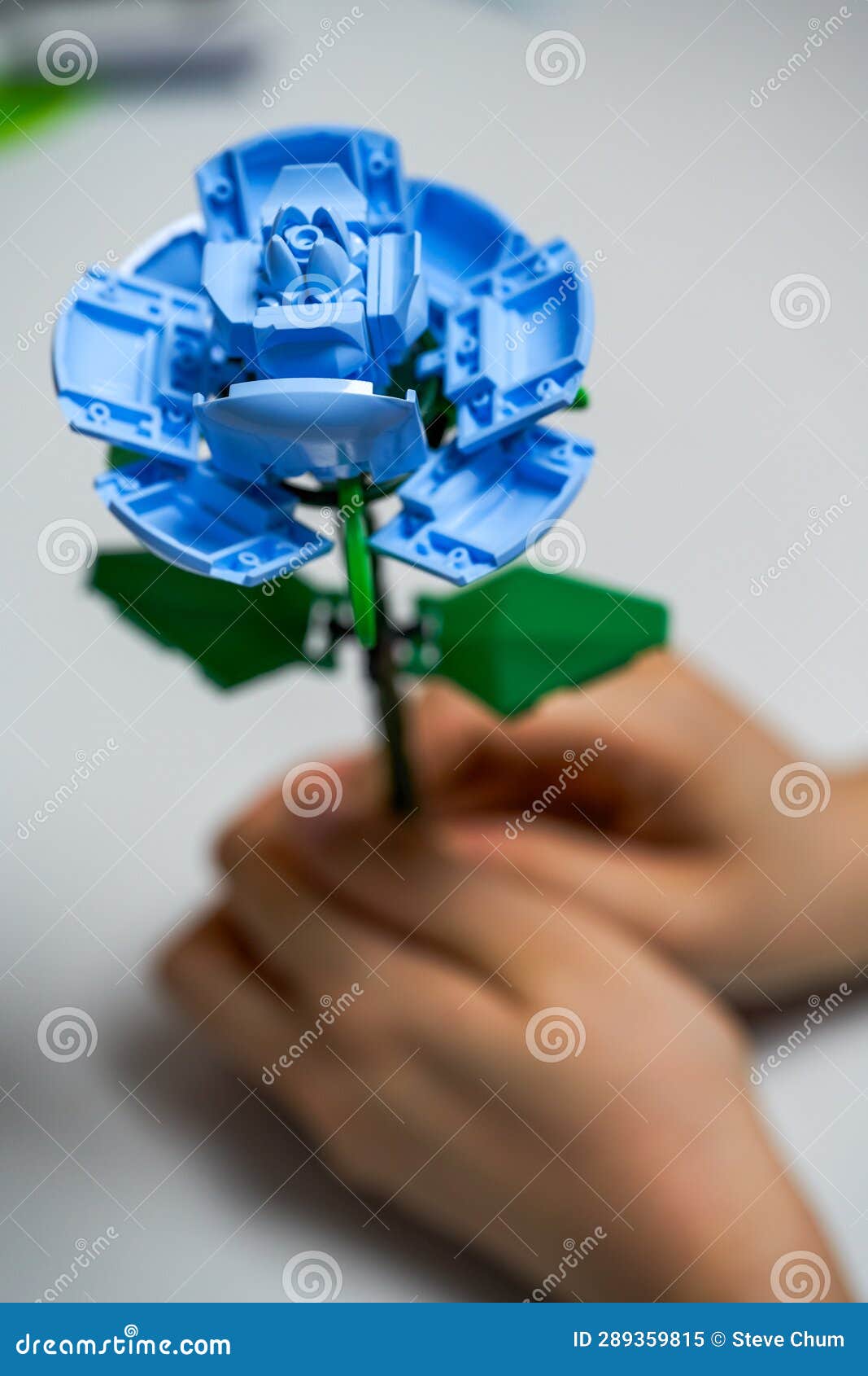 A Flower Made of Children S Blocks Stock Image - Image of plant ...