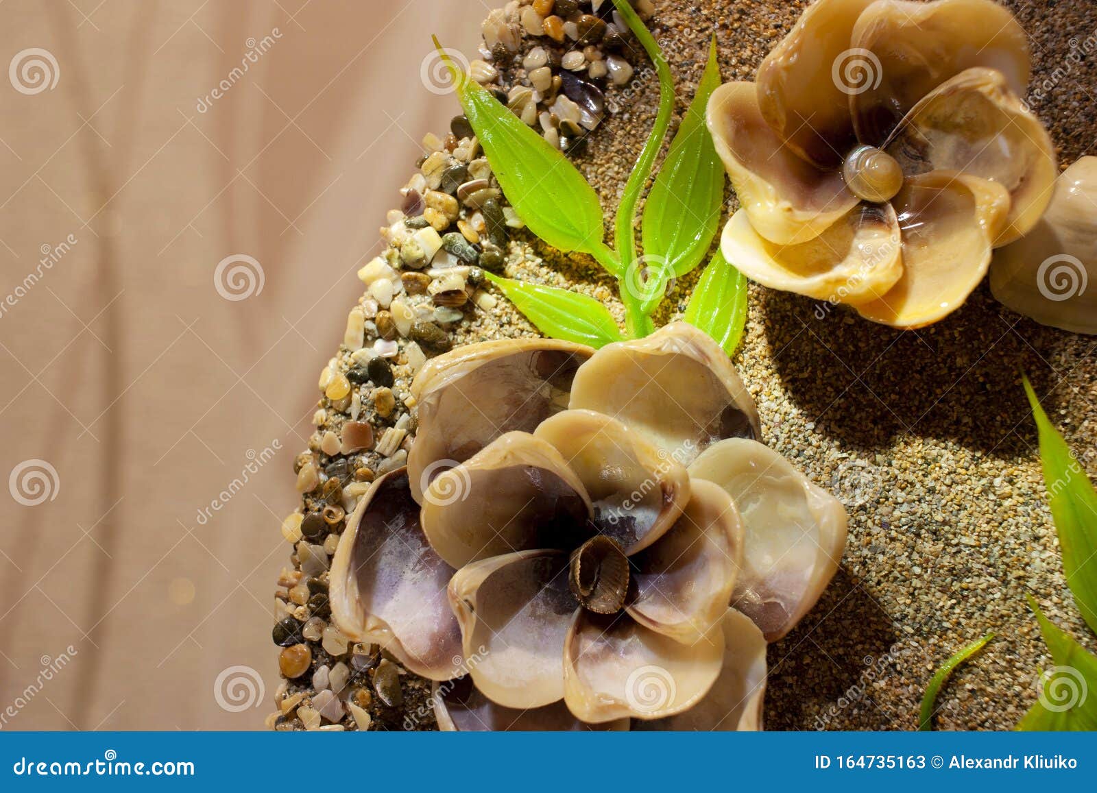 Flower Made of Shells a Wide Variety of Shells and Small Pebbles. Close ...