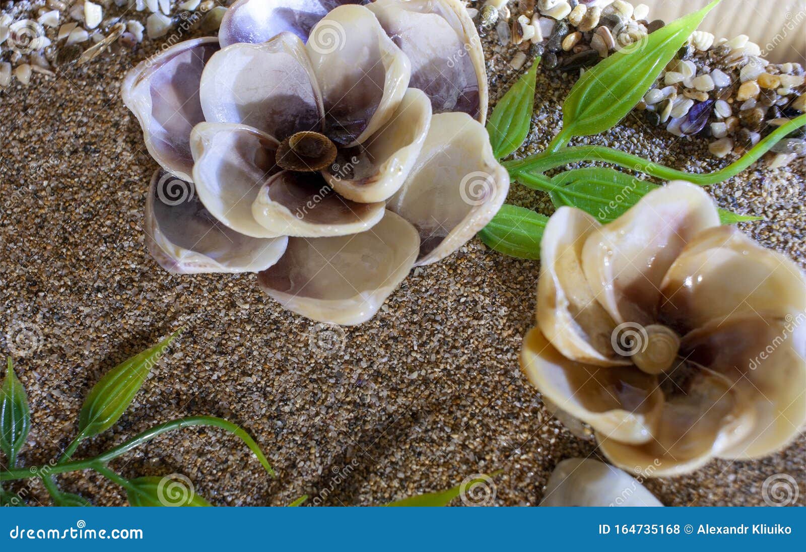 Flower Made of Shells a Wide Variety of Shells and Small Pebbles. Close ...