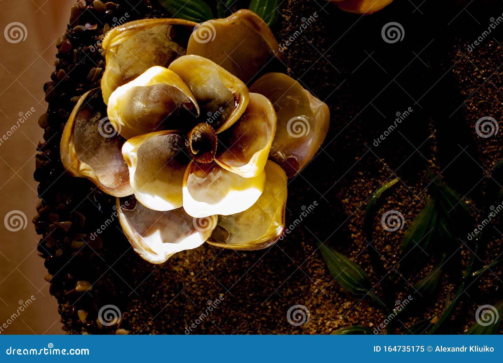 Flower Made of Shells a Wide Variety of Shells and Small Pebbles. Close ...