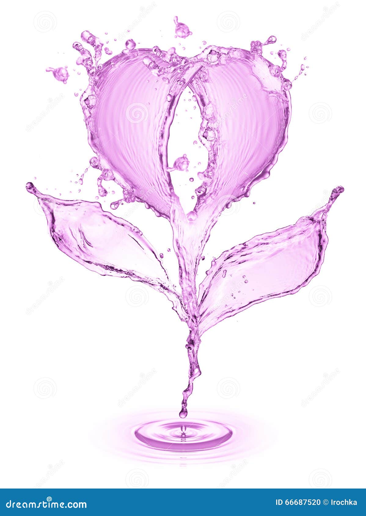 Flower Made of Water Splashes Isolated on White Background Stock Photo ...