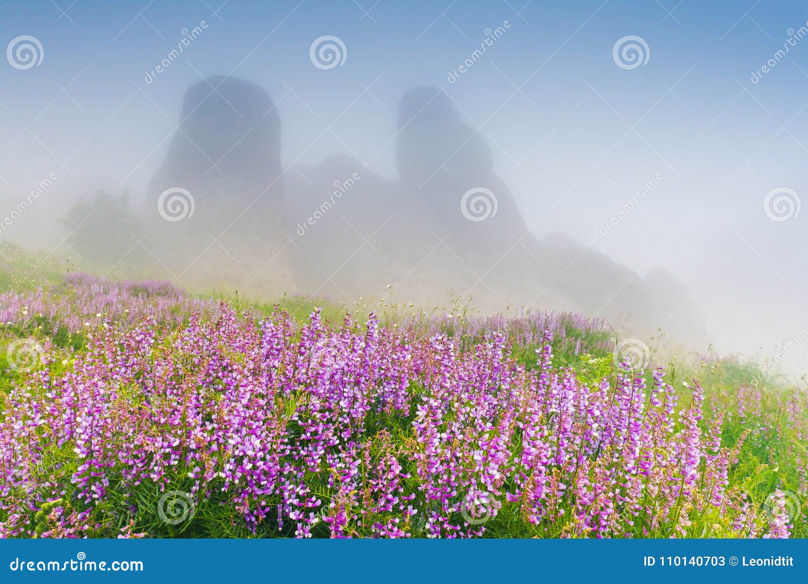 Flower stock image. Image of blossom, botany, color - 110140703