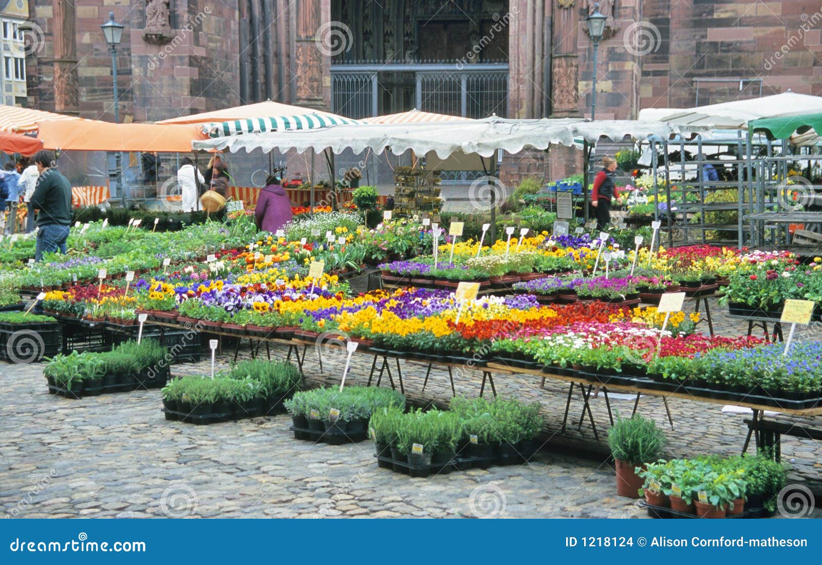 Flower Market stock photo. Image of stall, plant, market - 1218124