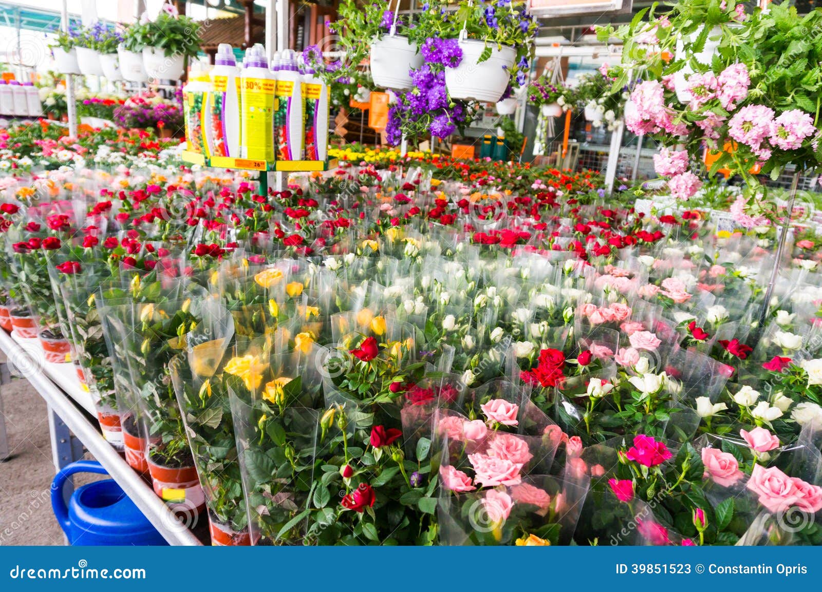 Flower market stock image. Image of plants, stand, shop - 39851523