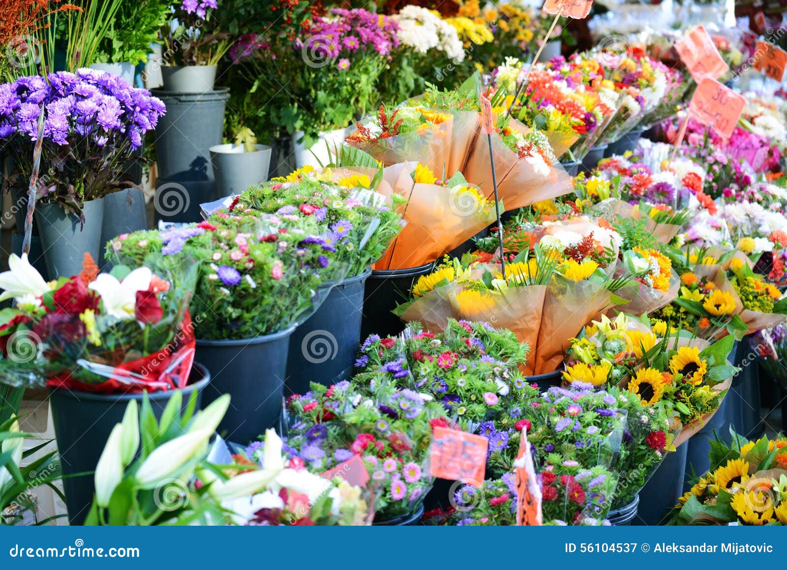 Flower Market with Various Multicolored Fresh Flowers Stock Image ...
