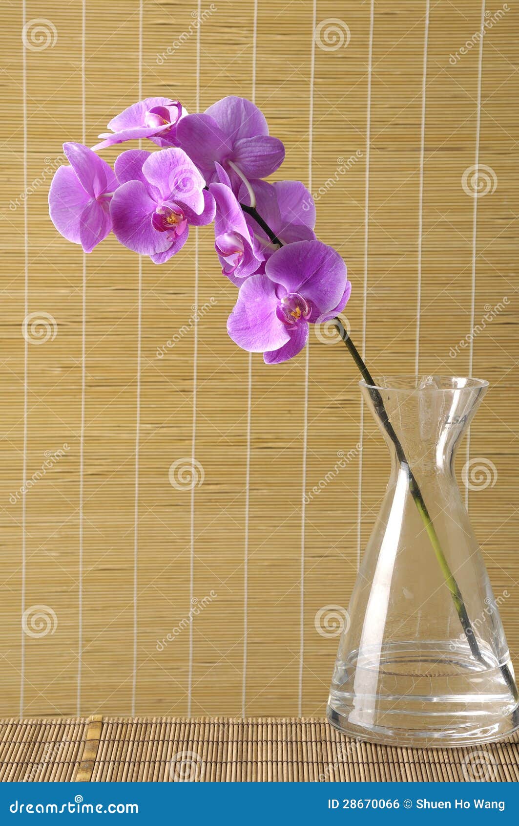 Flower with mat stock photo. Image of peace, relaxation - 28670066