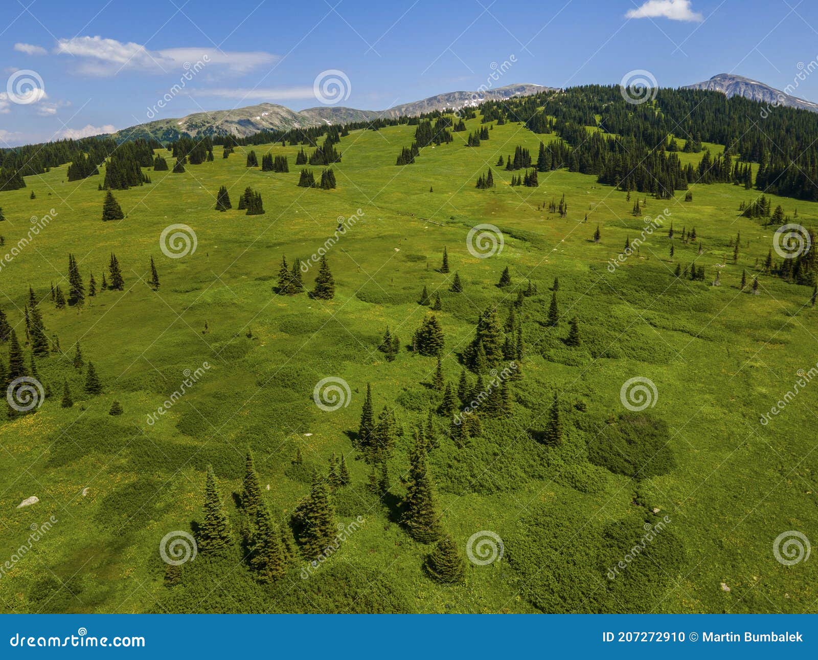 Flower Meadows and Trees Aerial View Panorama Stock Photo - Image of ...