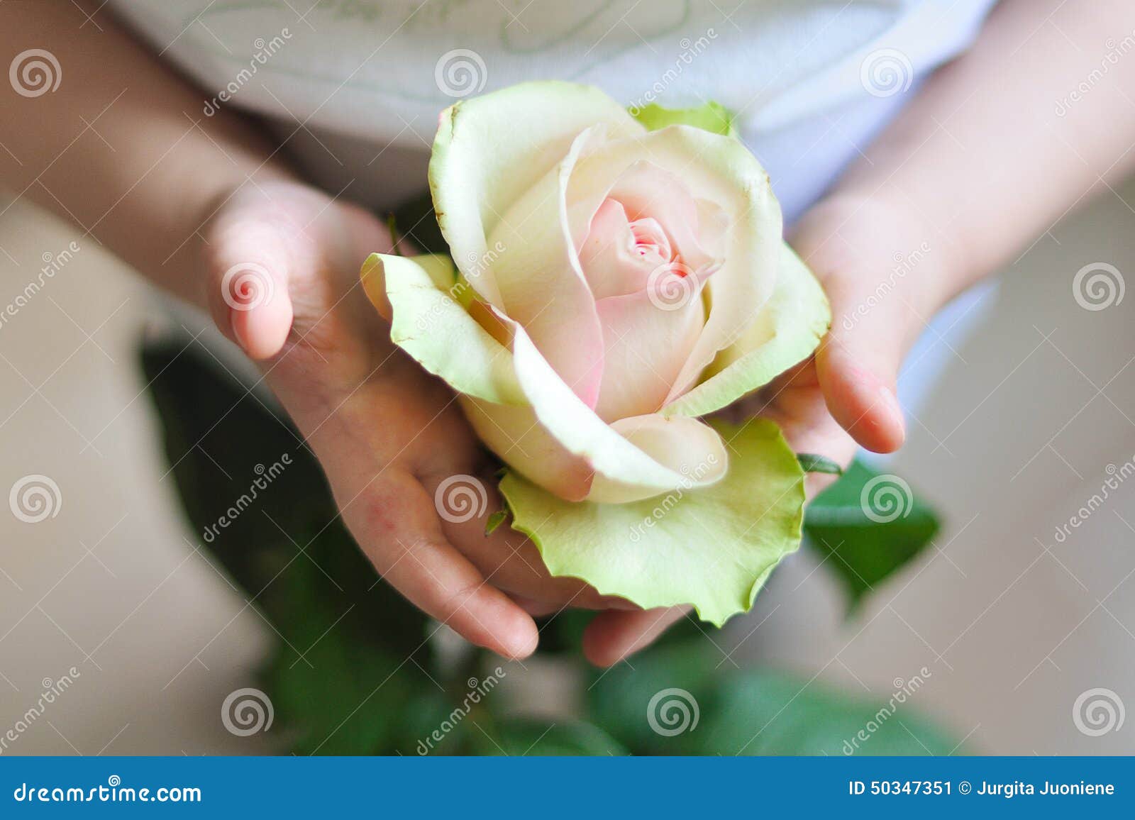 Flower for the Mummy stock image. Image of child, holiday - 50347351