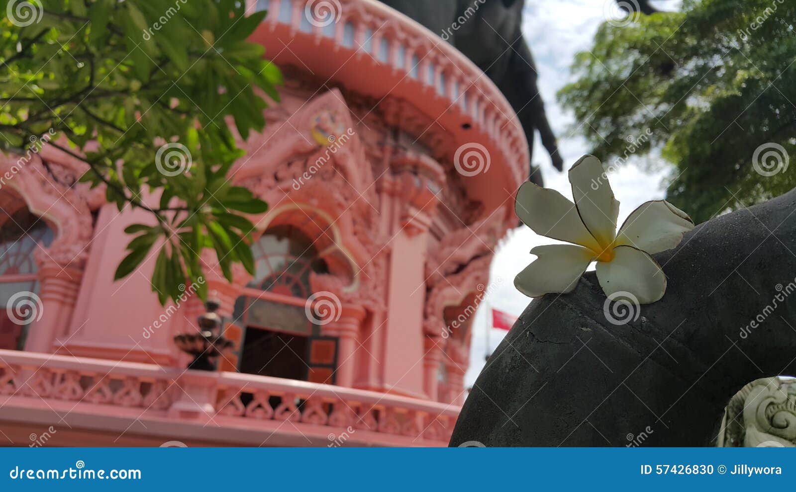 Flower in museum stock photo. Image of building, flower - 57426830