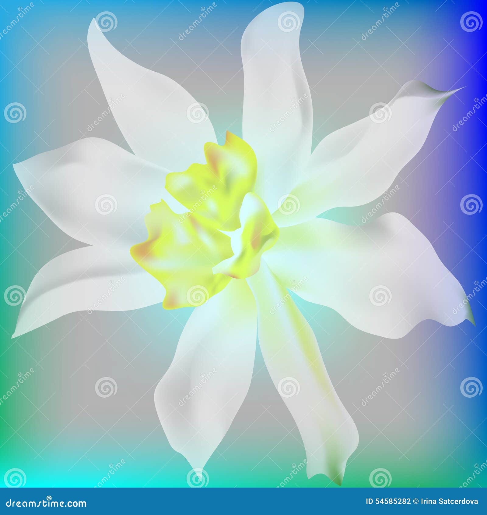 Flower Narcissus stock vector. Illustration of background - 54585282