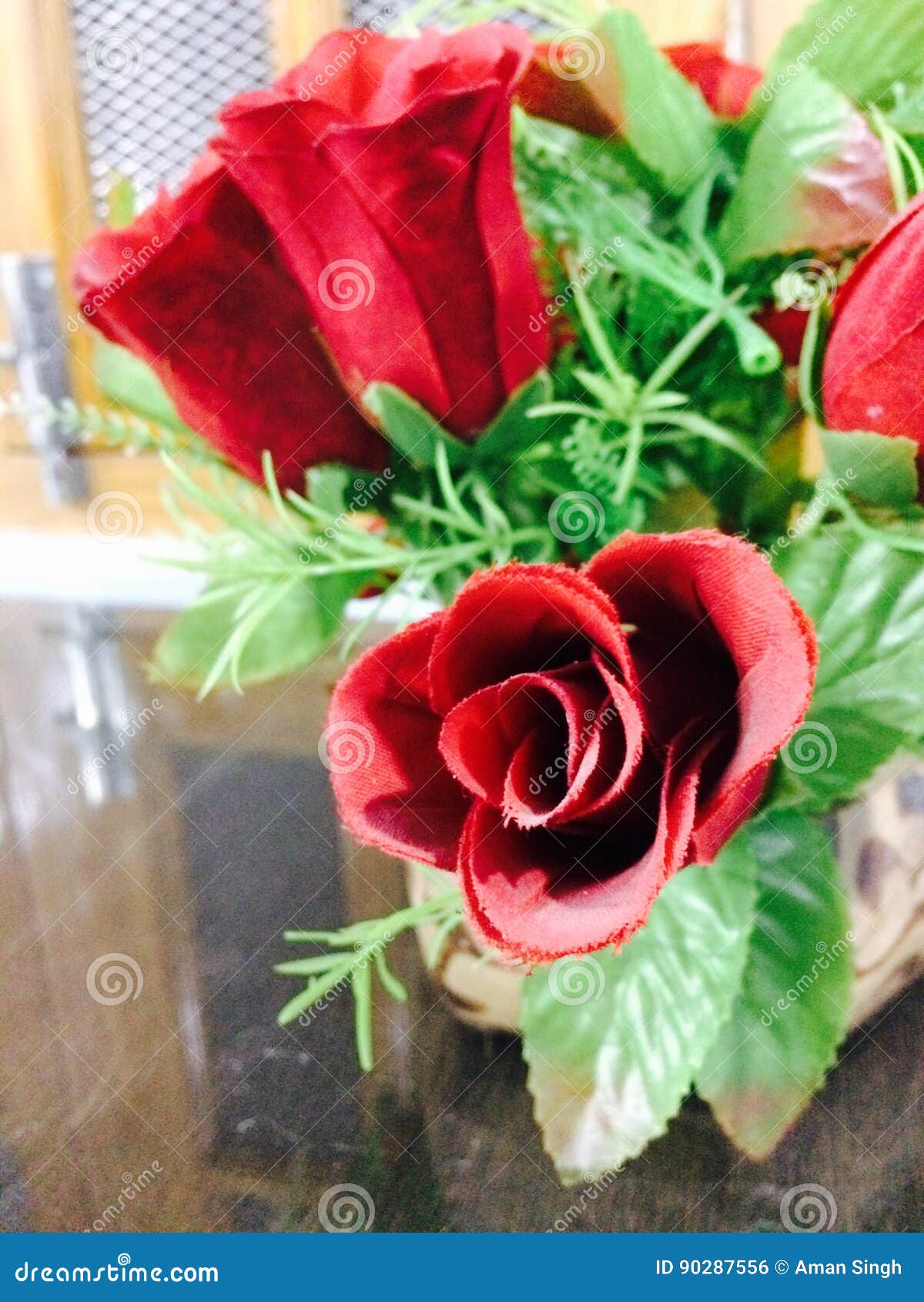 Flower stock photo. Image of real, flower, living, beautiful - 90287556