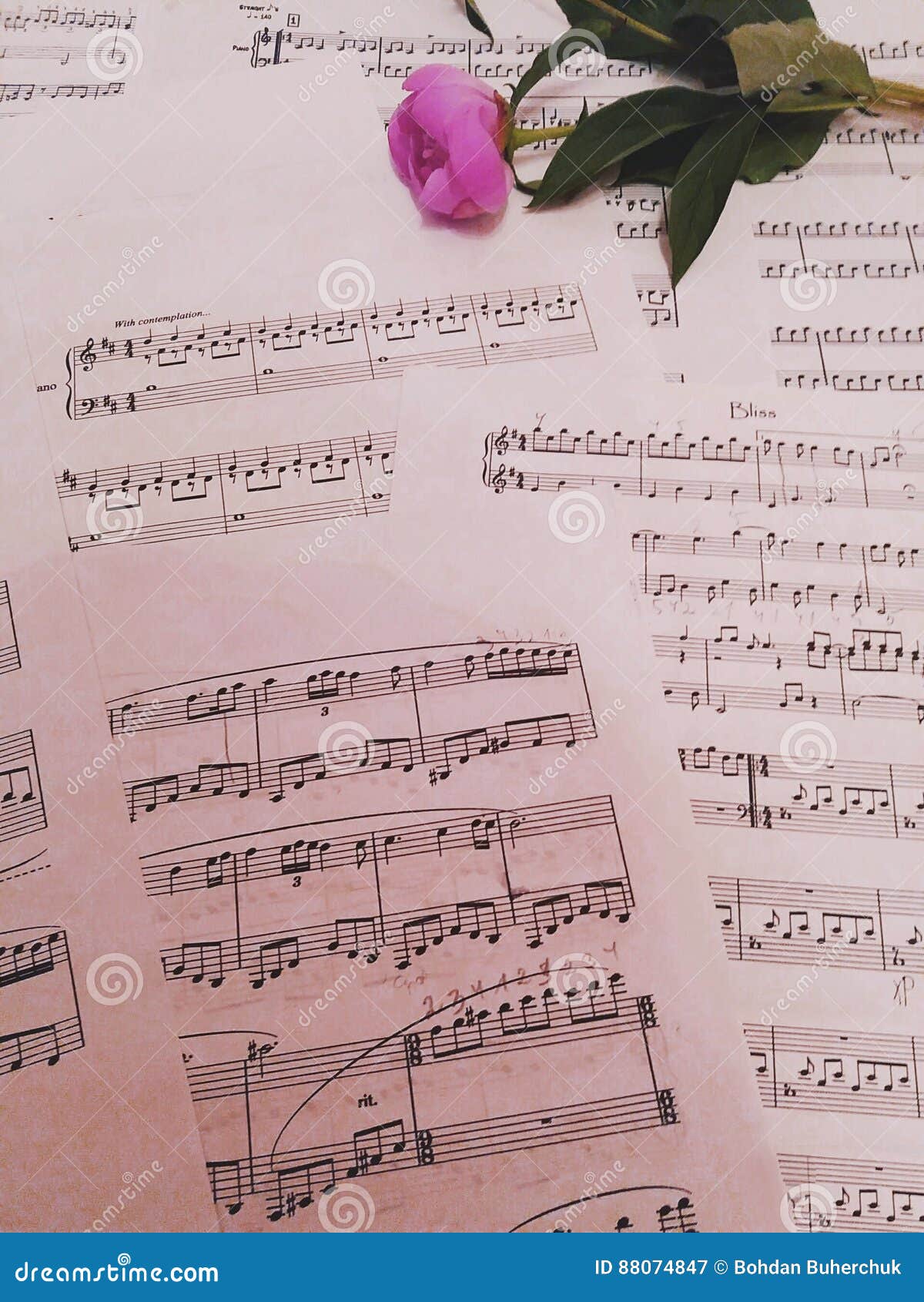 Flower on notes stock image. Image of note, retro, music - 88074847