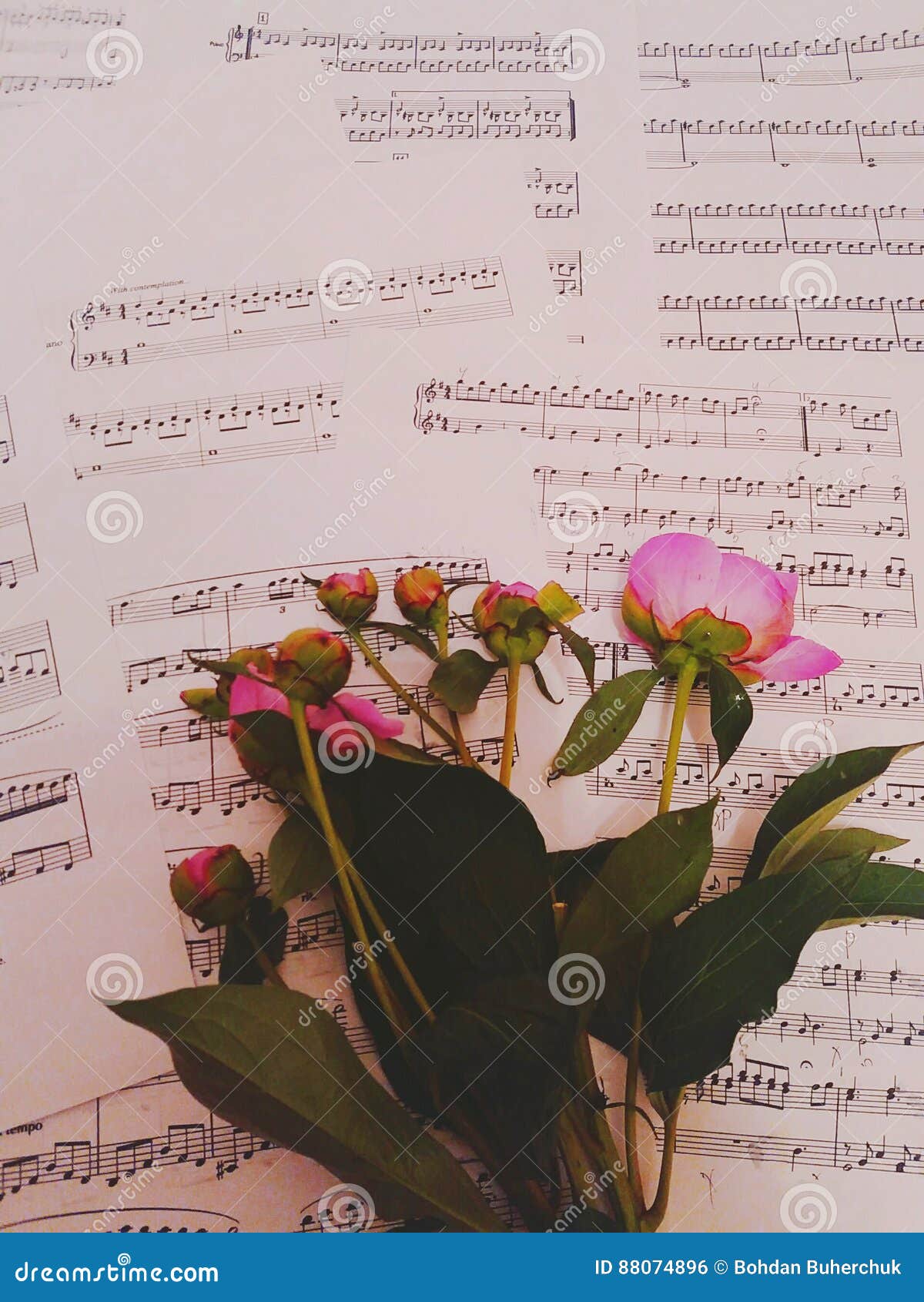 Flower on notes stock photo. Image of design, white, vintage - 88074896