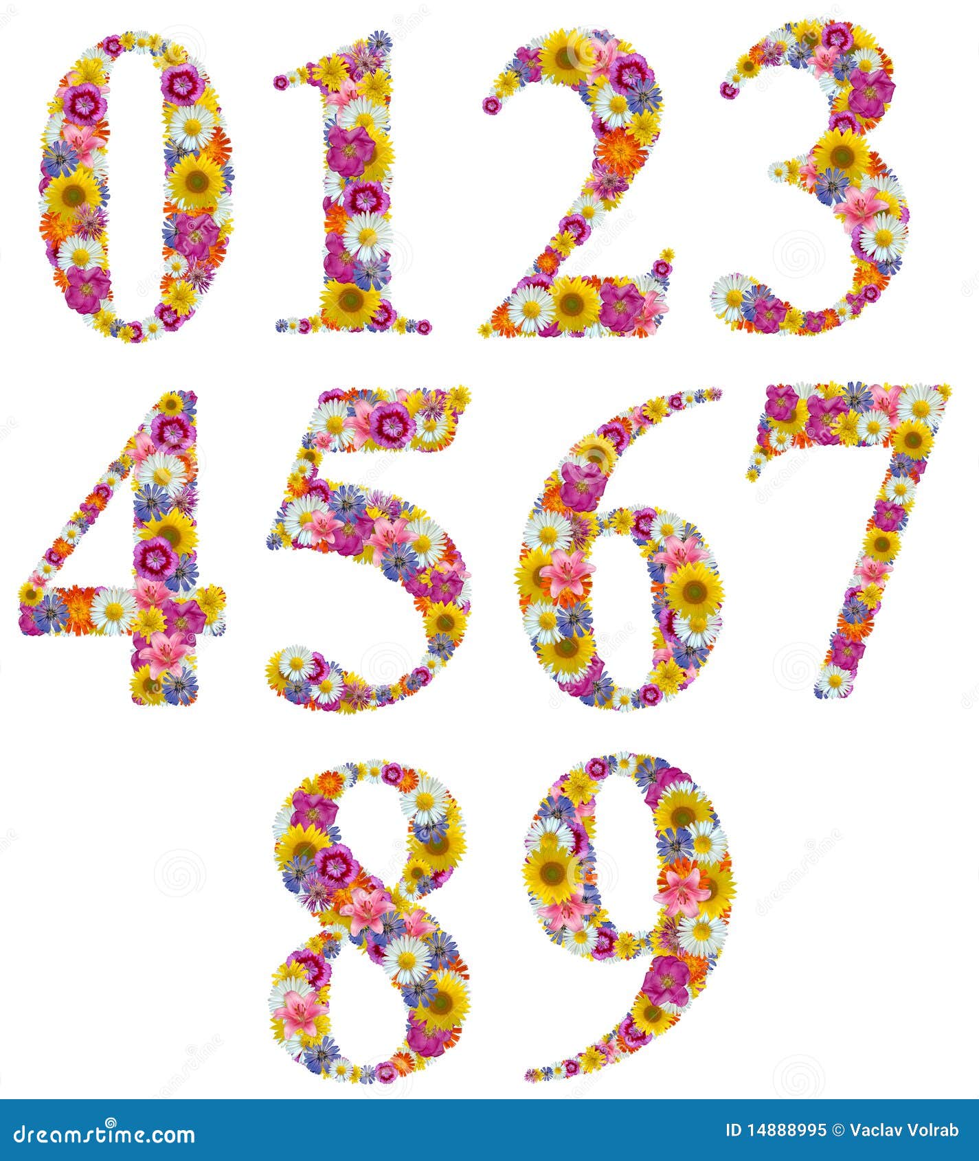Flower Number Isolated Royalty Free Stock Photo - Image: 14888995