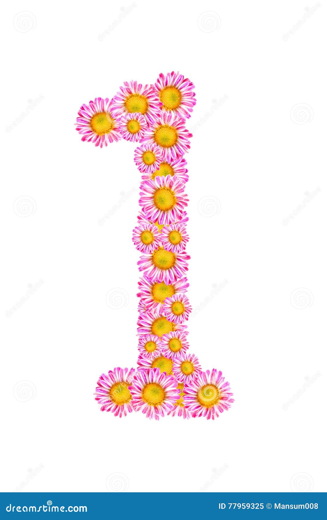 Flower number one stock image. Image of pink, typeset - 77959325