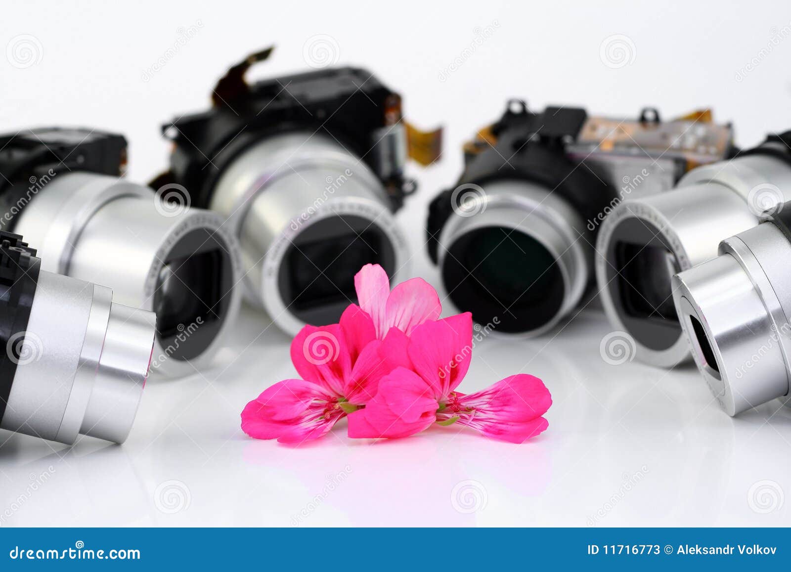 Flower and Objectives of Compact Cameras Stock Image - Image of ...
