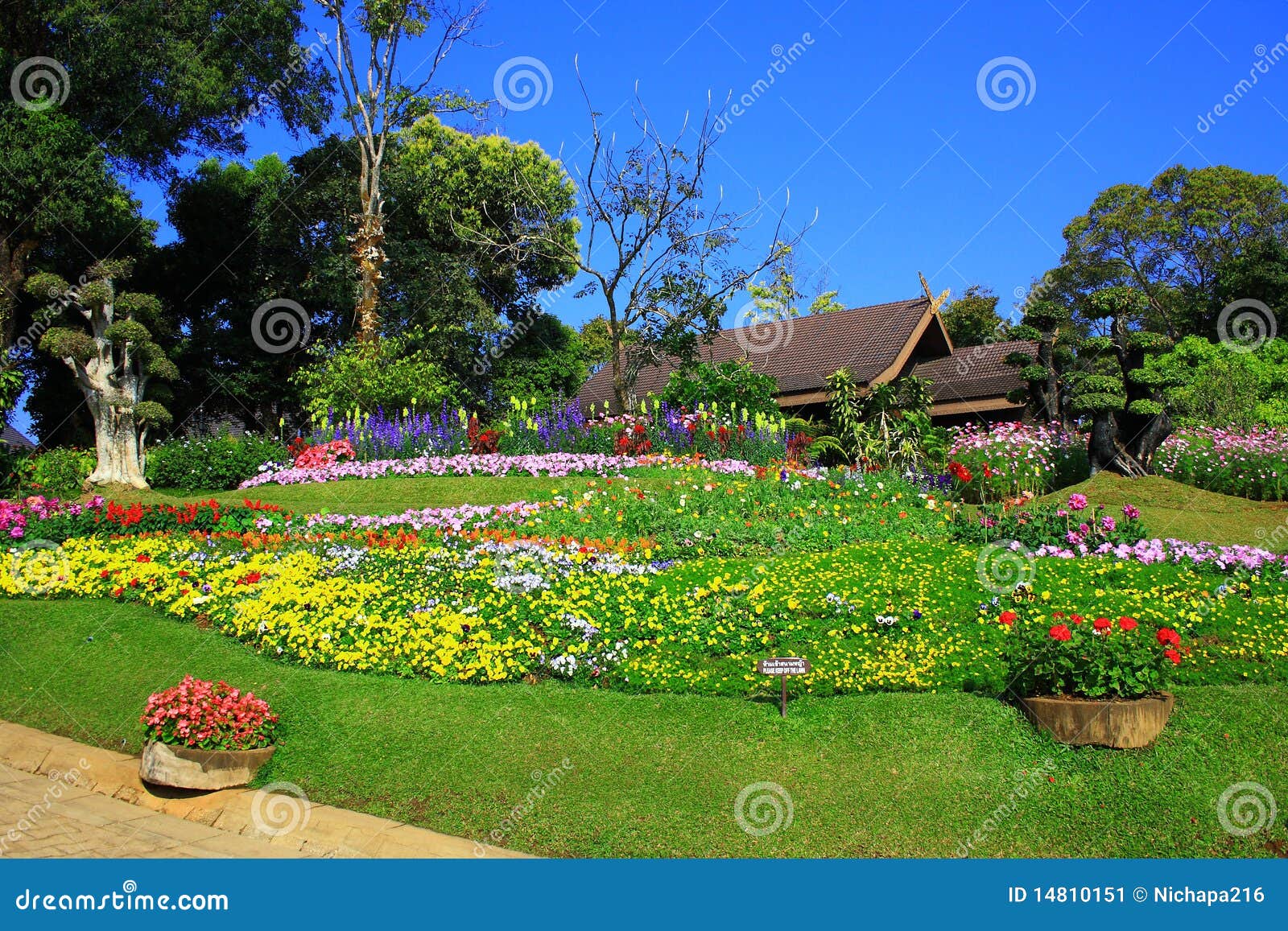 Flower palace stock image. Image of bridal, bloom, nature - 14810151