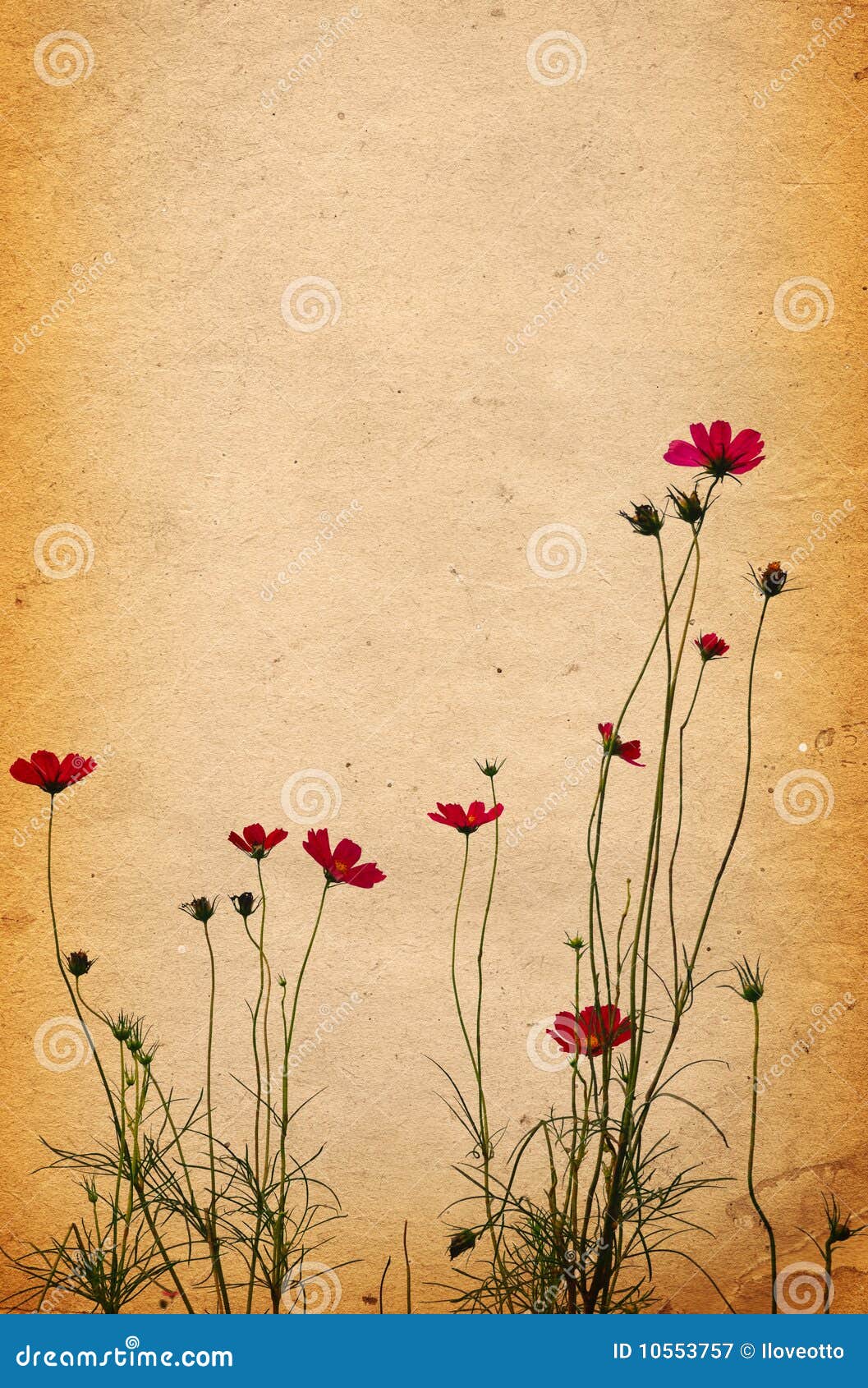 Flower Paper Shaped Texture Decoratived On Wall Background Stock Photo ...