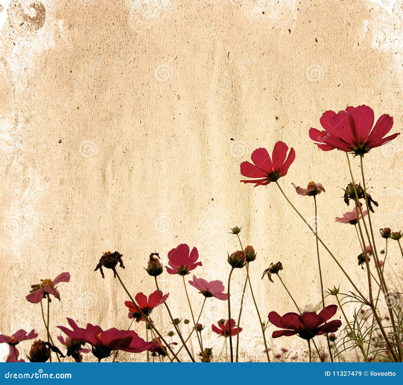 Old Flower Paper Textures Royalty-Free Stock Photo | CartoonDealer.com ...