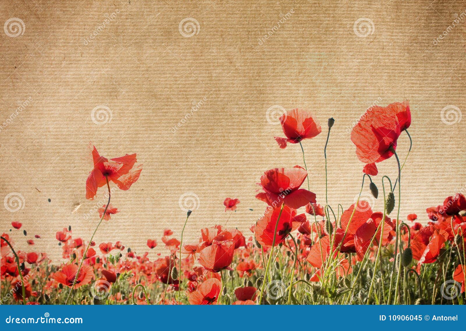 Old And Flower Paper Texture Background Stock Photo | CartoonDealer.com ...