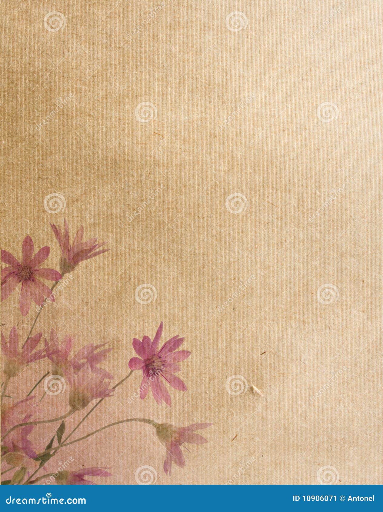 Old And Flower Paper Texture Background Stock Photo | CartoonDealer.com ...
