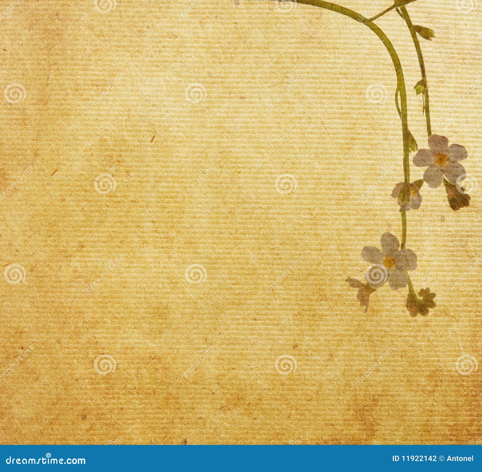 Old And Flower Paper Texture Background Stock Photo | CartoonDealer.com ...