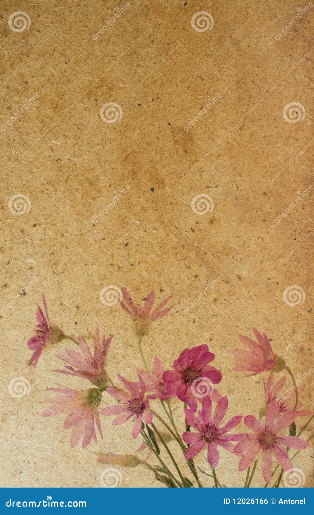 Old And Flower Paper Texture Background Stock Photo | CartoonDealer.com ...