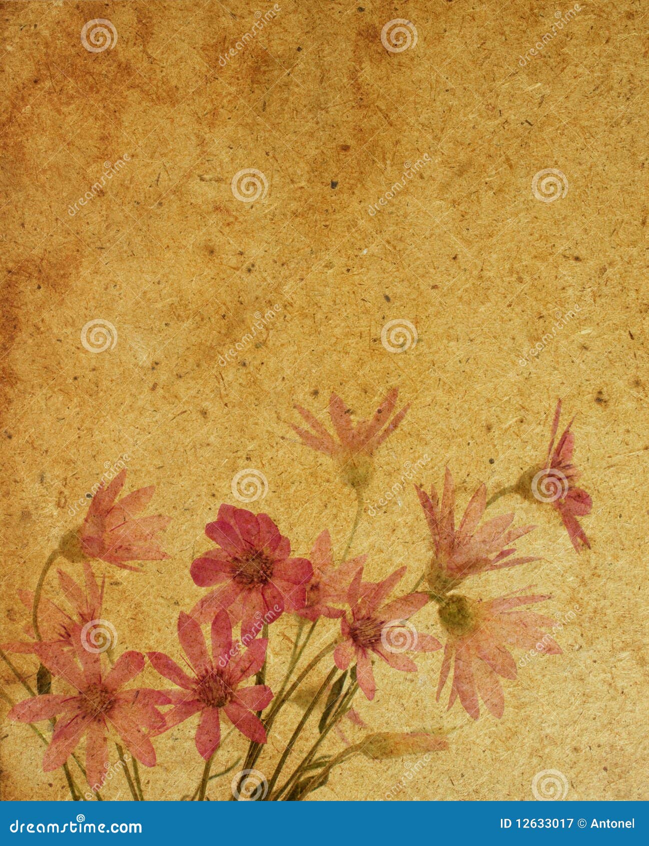 Old Flower Paper Textures Royalty-Free Stock Photo | CartoonDealer.com ...