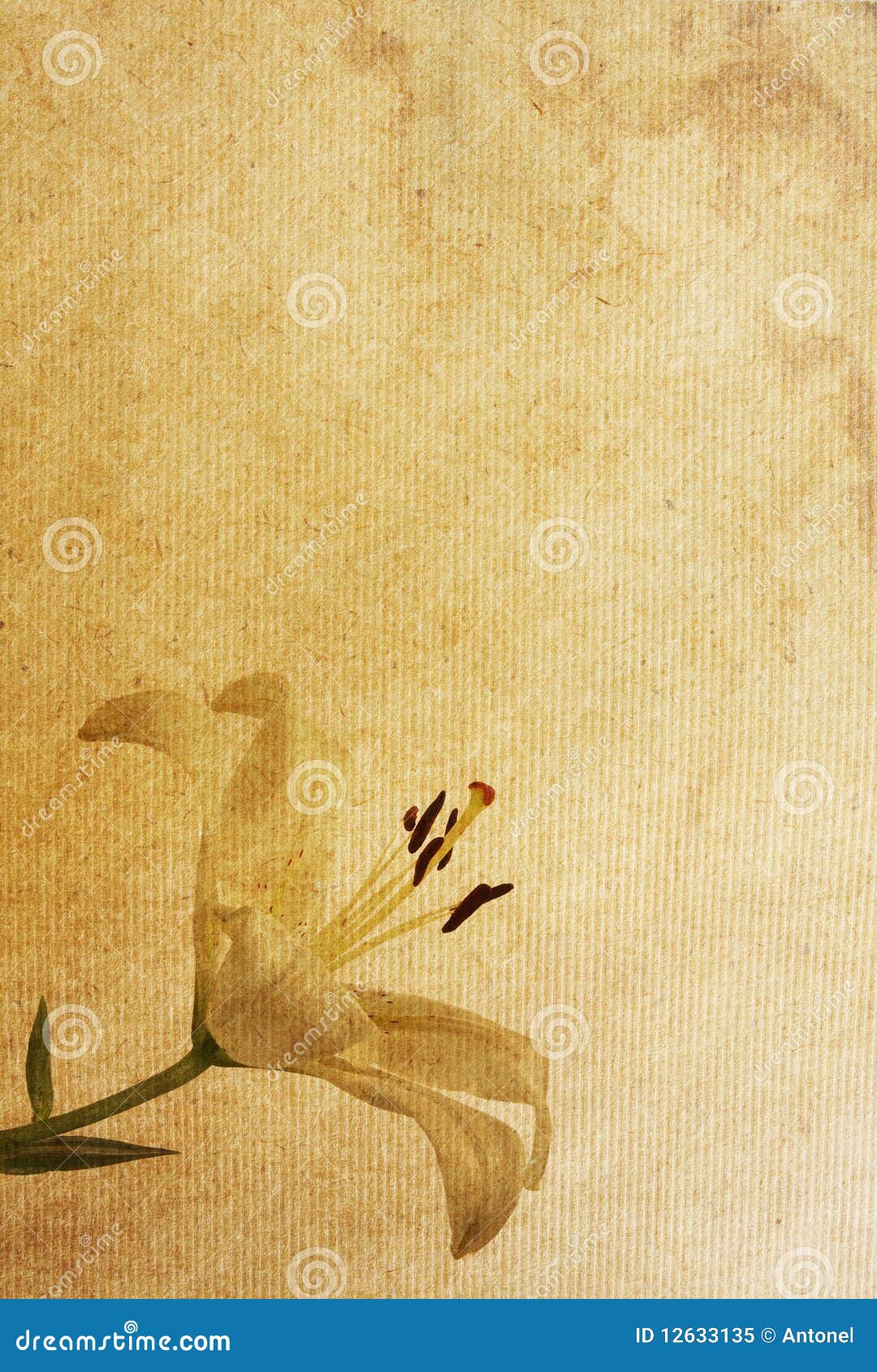 Flower paper textures. stock illustration. Illustration of retrospect ...