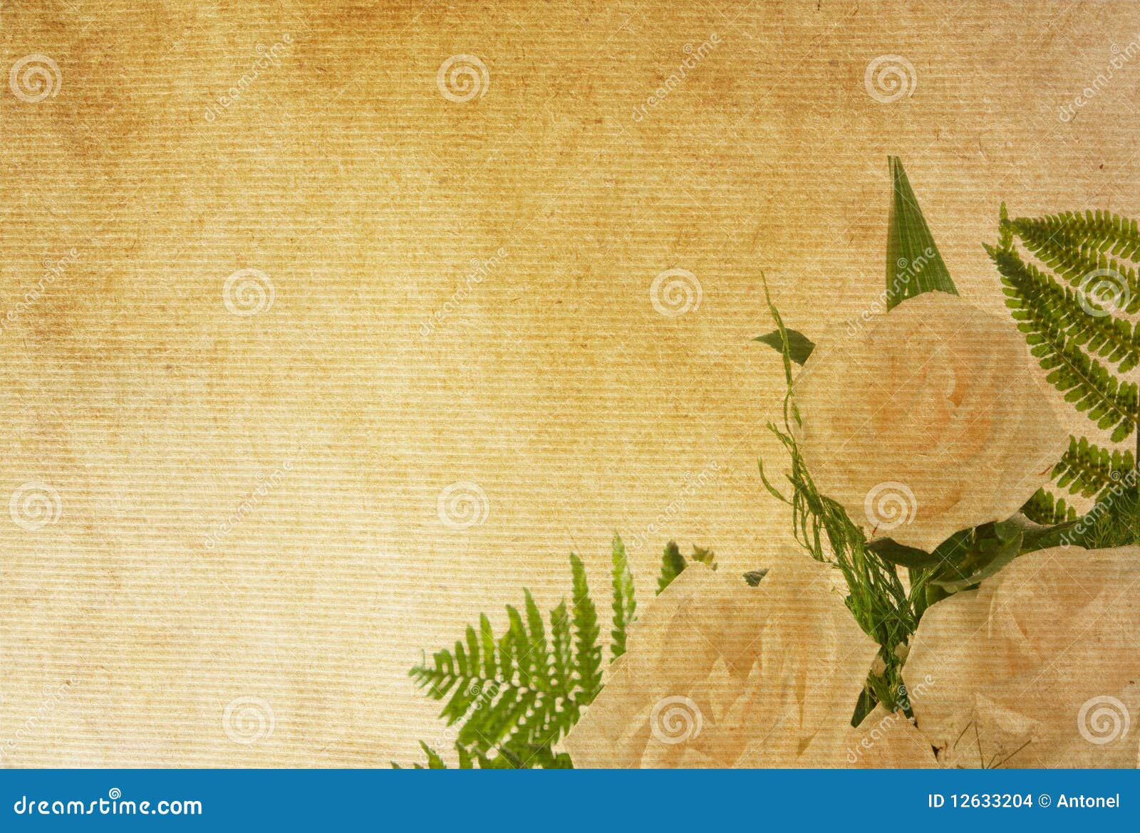 Flower paper textures. stock illustration. Illustration of rose - 12633204