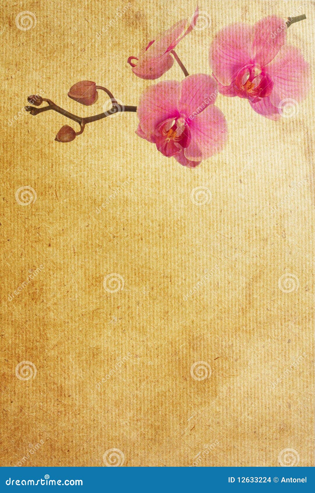 Old Flower Paper Textures Royalty-Free Stock Photo | CartoonDealer.com ...