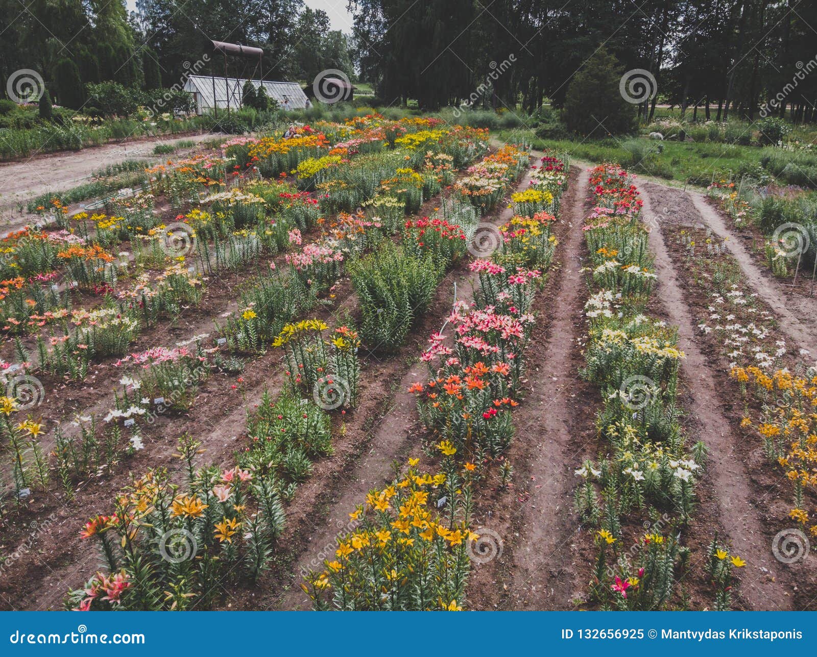 Flower Park Botanical Garden Editorial Image - Image of outdoor, flower ...