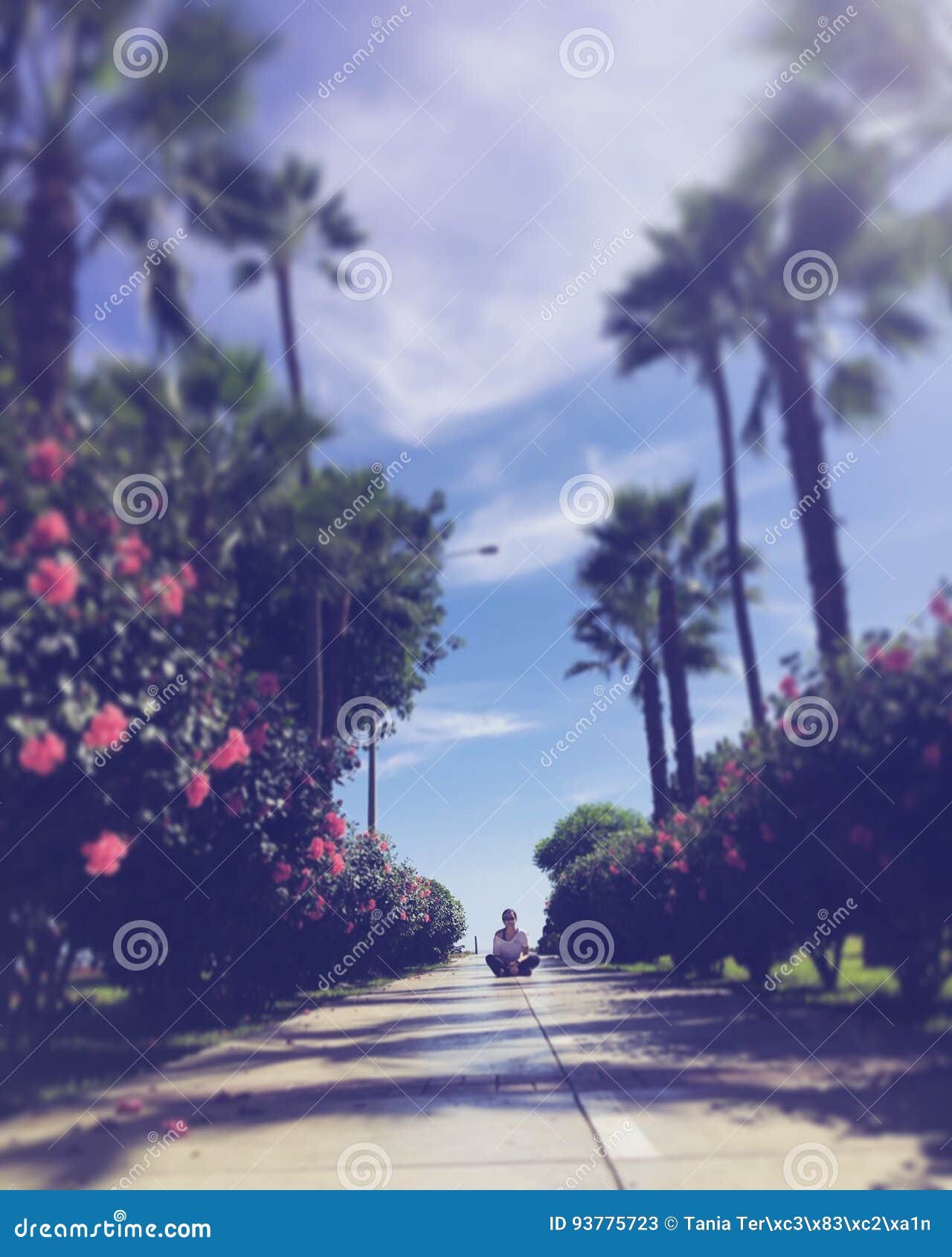 Flower park editorial stock photo. Image of flower, garden - 93775723