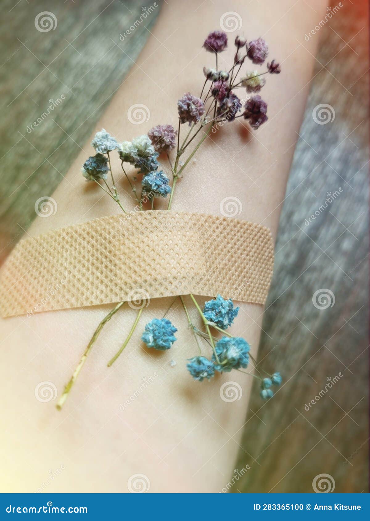 Flower Patch Health and Safety, Hand Stock Photo - Image of patch ...