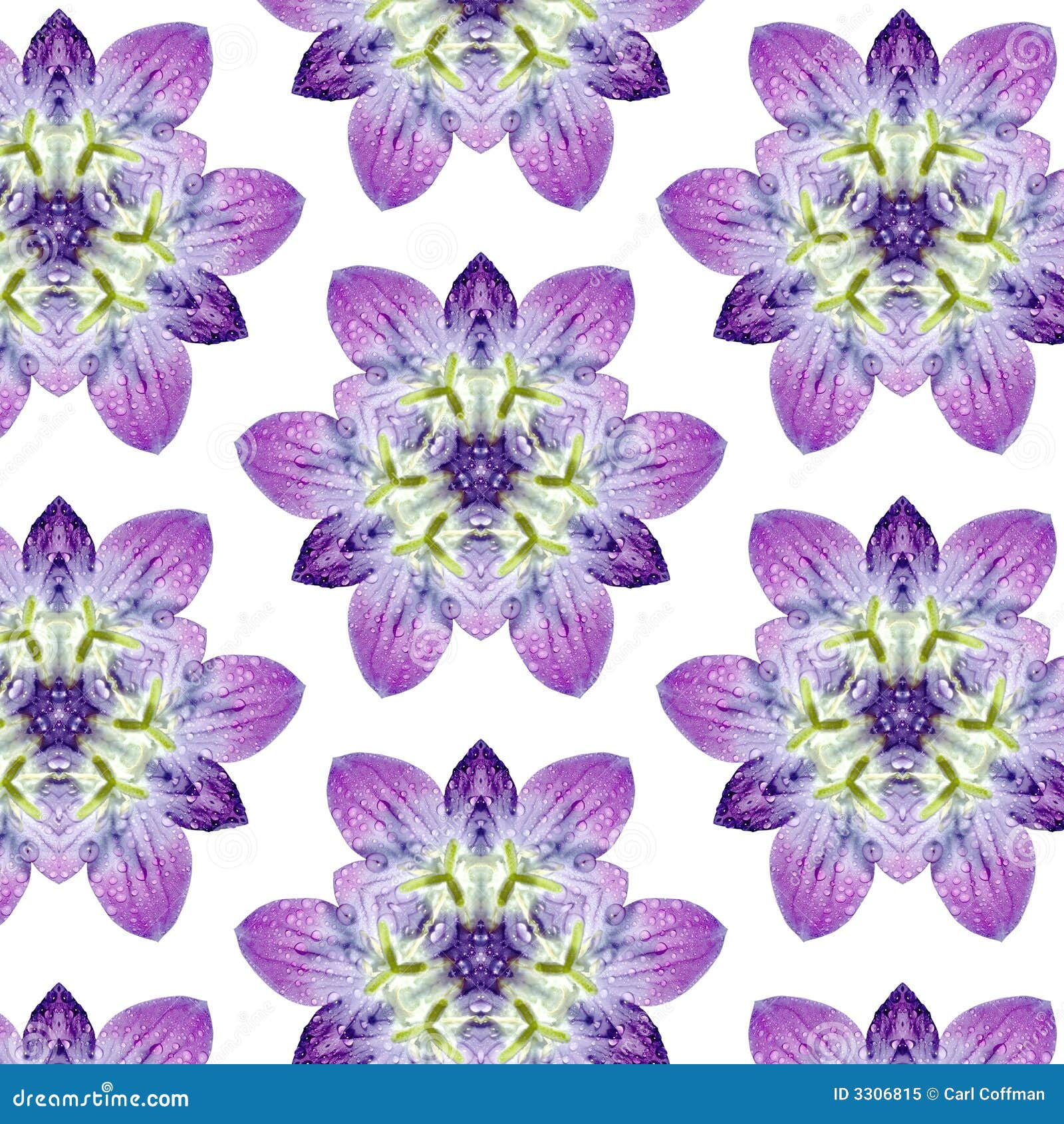 Flower Pattern F stock image. Image of meditation, pattern - 3306815