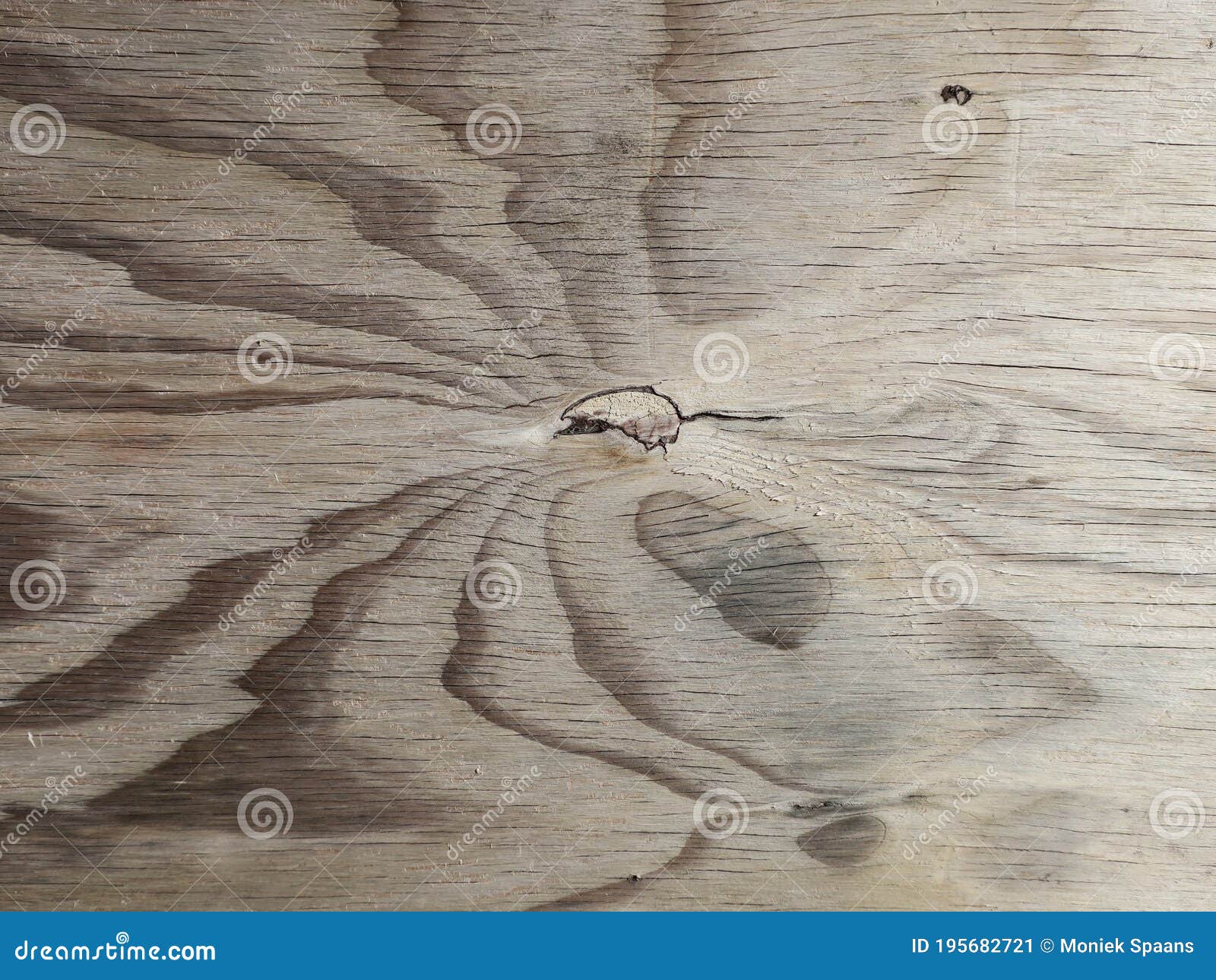 Flower Pattern in Multiplex Wooden Plank Stock Image - Image of texture ...