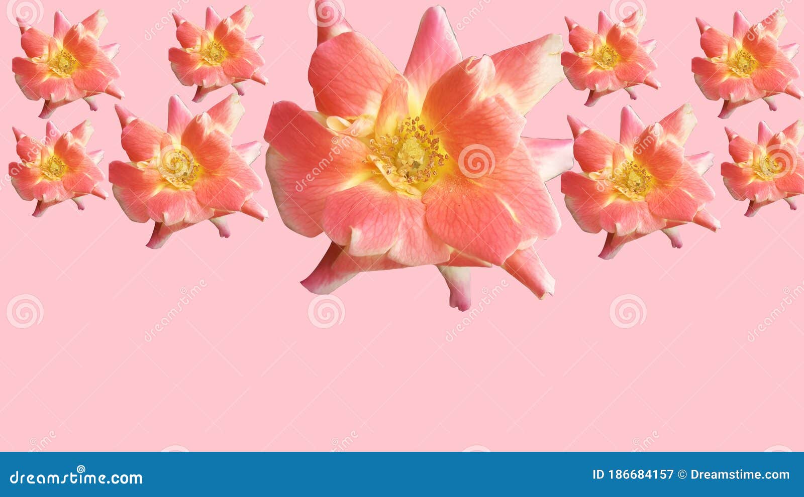 Flower Pattern with Pick Background Stock Image - Image of fully, high ...